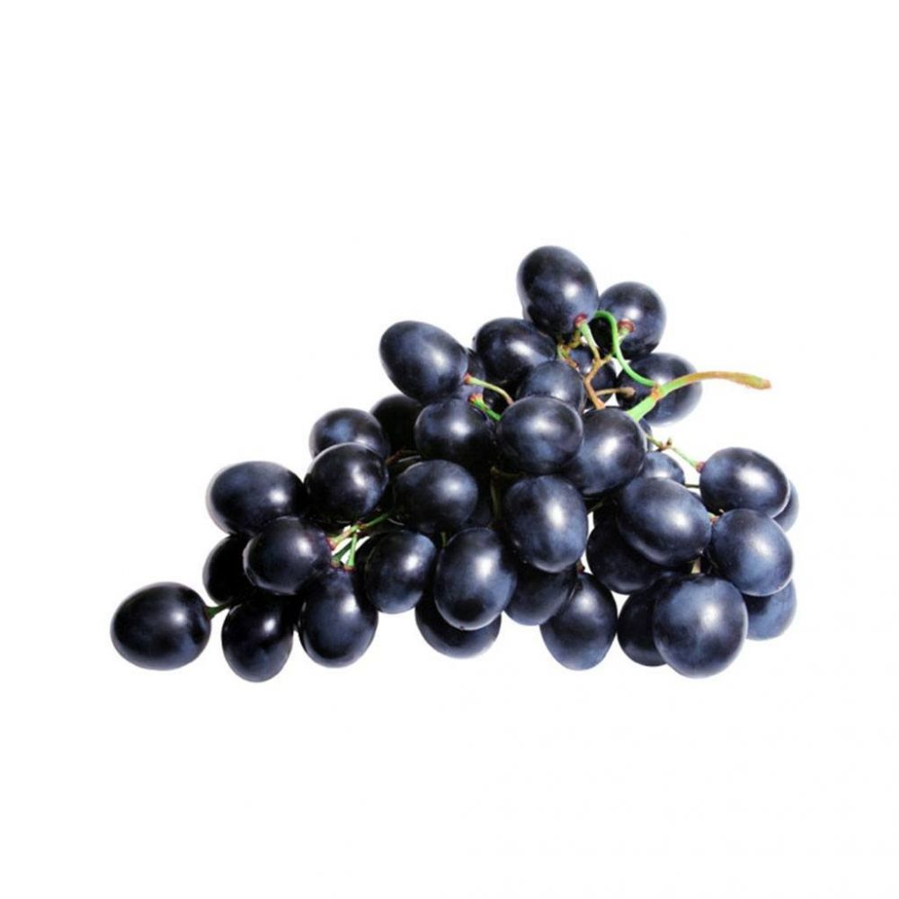 ANGGUR HITAM LOKAL 500GR | Bali Seger