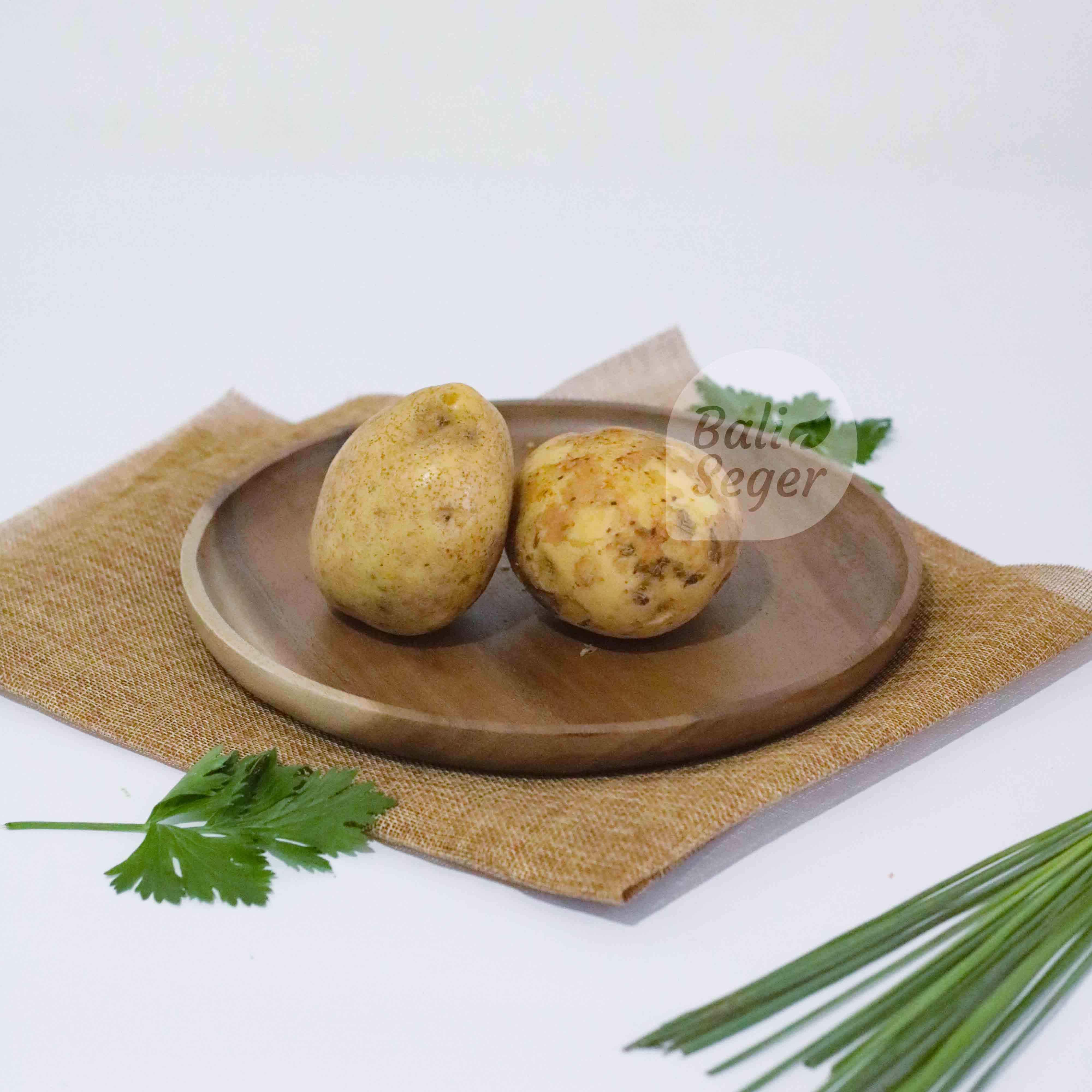 KENTANG SEDANG 500GR | Bali Seger