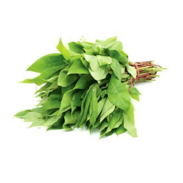 DAUN SINGKONG 500GR | Bali Seger