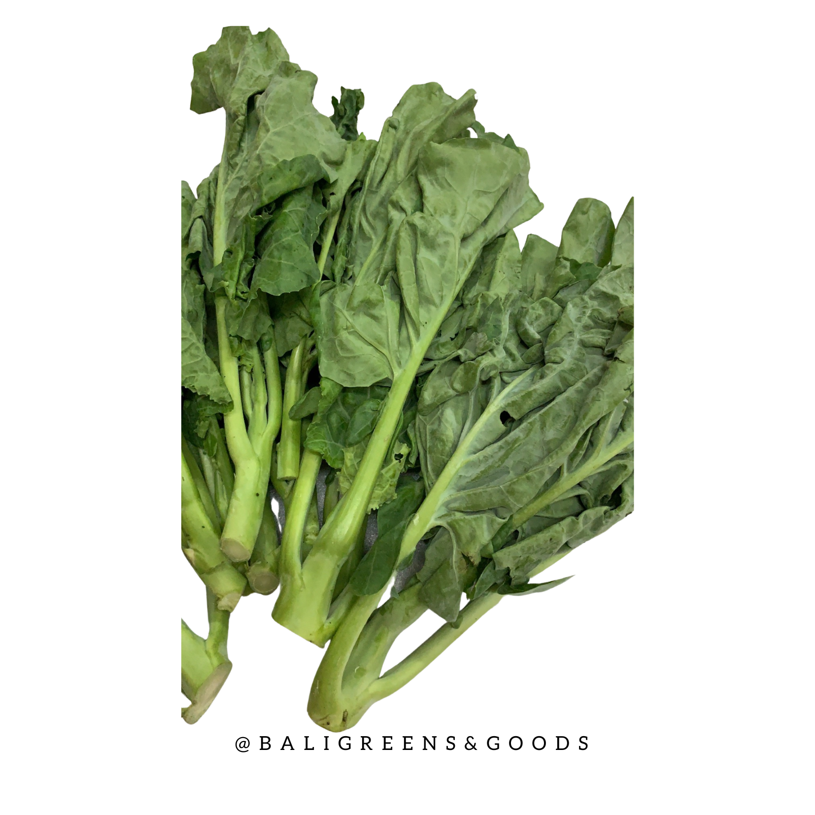 Bali Greens Goods | deliver to your house